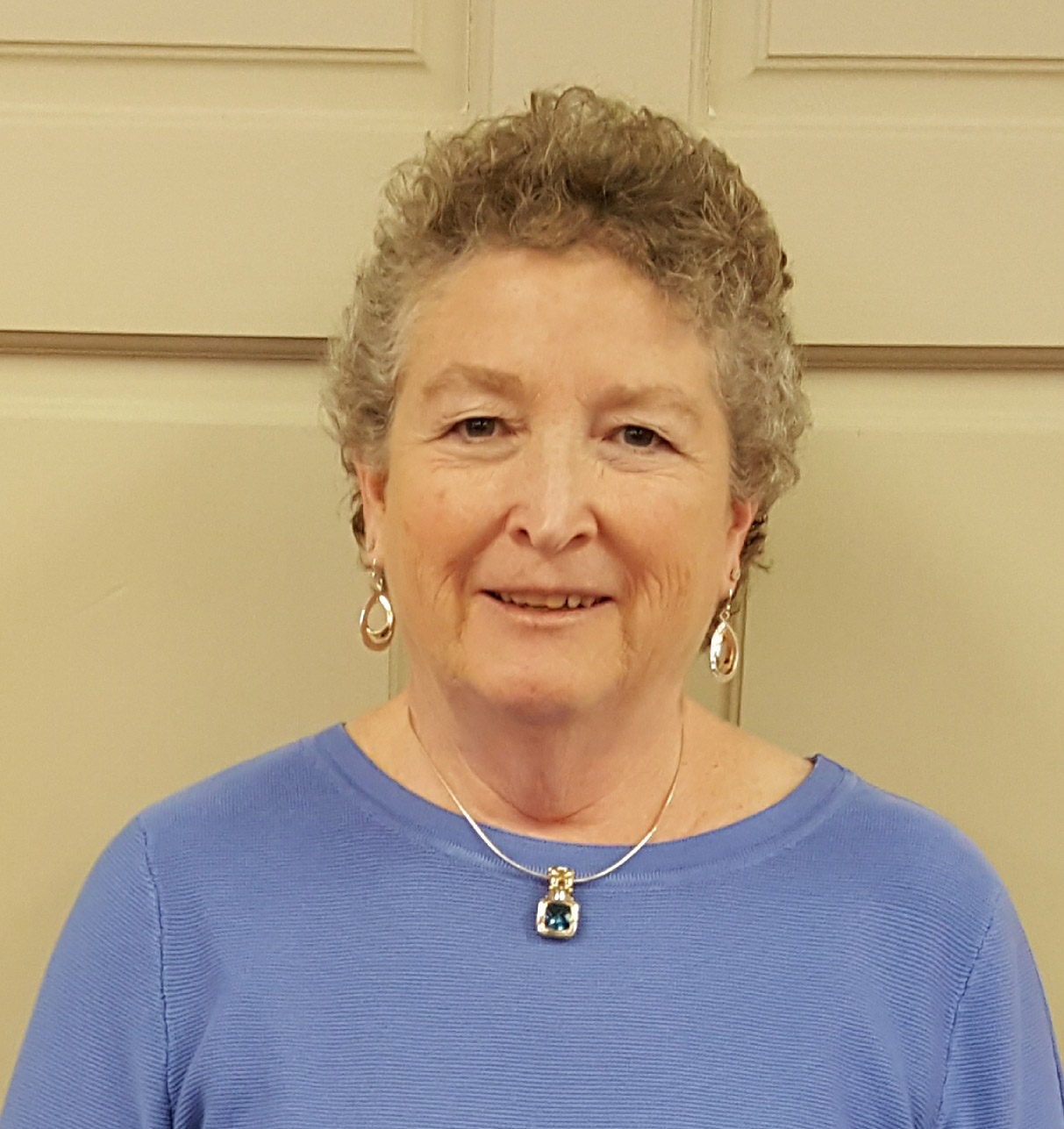 Robin Moore – The Botetourt Bee